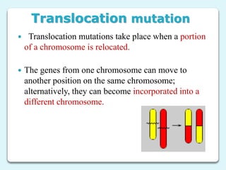 typesofmutation-200424155121.ppt slides for grade 10 | PPTX