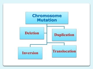 Types of mutation | PPTX