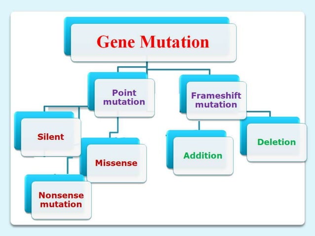 Types of mutation | PPTX