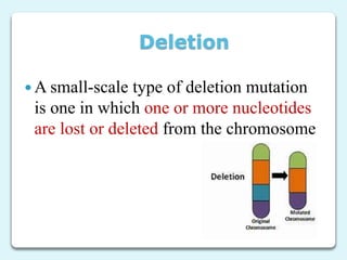 Deletion Mutation