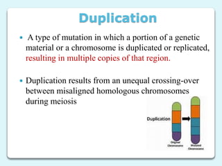 Duplication Mutation