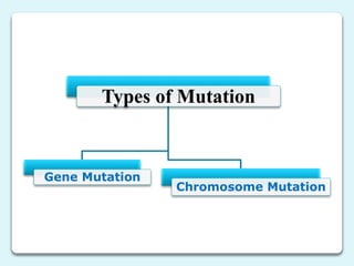 Types of mutation | PPTX