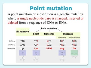 Types of mutation | PPT