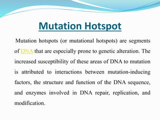 Types of mutation | PPT