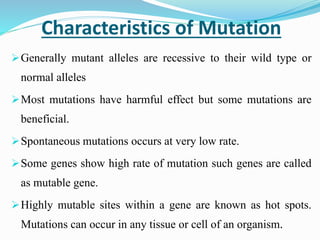 Types of mutation | PPTX