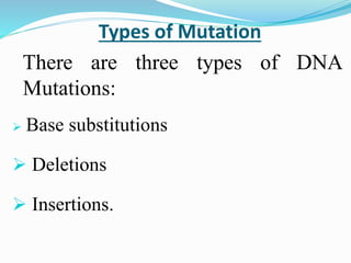 Types of mutation | PPTX