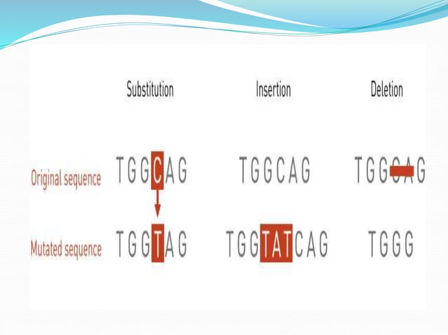 Types of mutation | PPTX