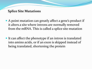 Mutation and its types | PPTX
