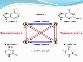 Mutation and its types | PPTX