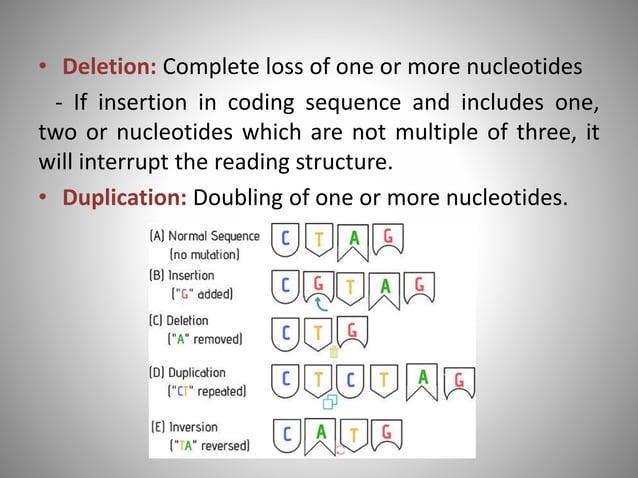 CONCEPT OF MUTATION AND ITS CLASSIFICATION .pptx | Genetics | Science