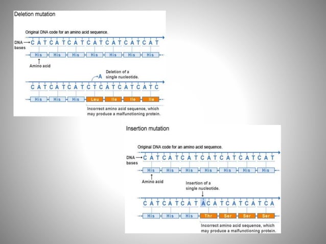 CONCEPT OF MUTATION AND ITS CLASSIFICATION .pptx | Genetics | Science