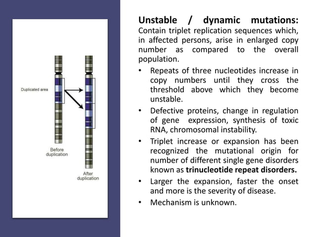 CONCEPT OF MUTATION AND ITS CLASSIFICATION .pptx | Genetics | Science