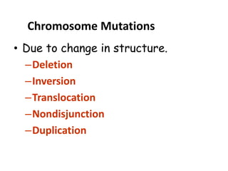 Types of mutations | PPTX