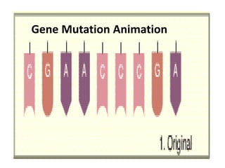 Types of mutations | PPTX