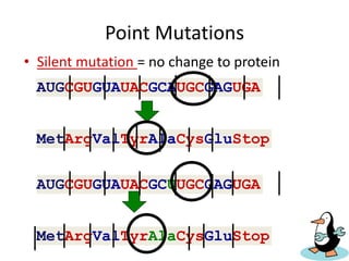 Frameshift Mutation Animation