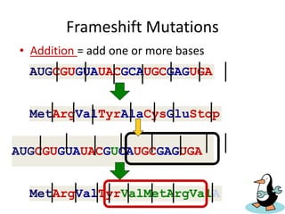Addition Mutation