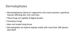 Types of mycosis, dermatophytes, chromomycosis. | PPT