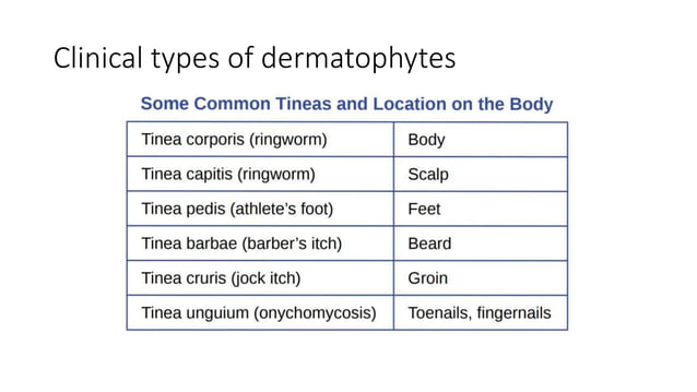 Types of mycosis, dermatophytes, chromomycosis. | PPT