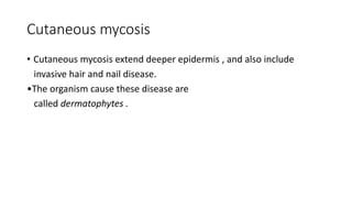 Types of mycosis, dermatophytes, chromomycosis. | PPTX