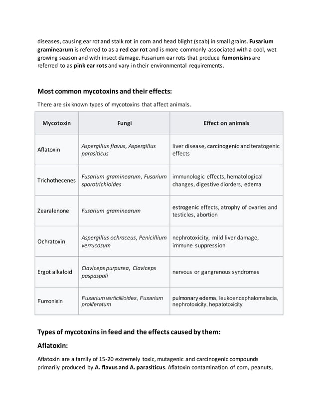 Types of mycotoxins and quality of animal feed | DOCX | Gardening ...