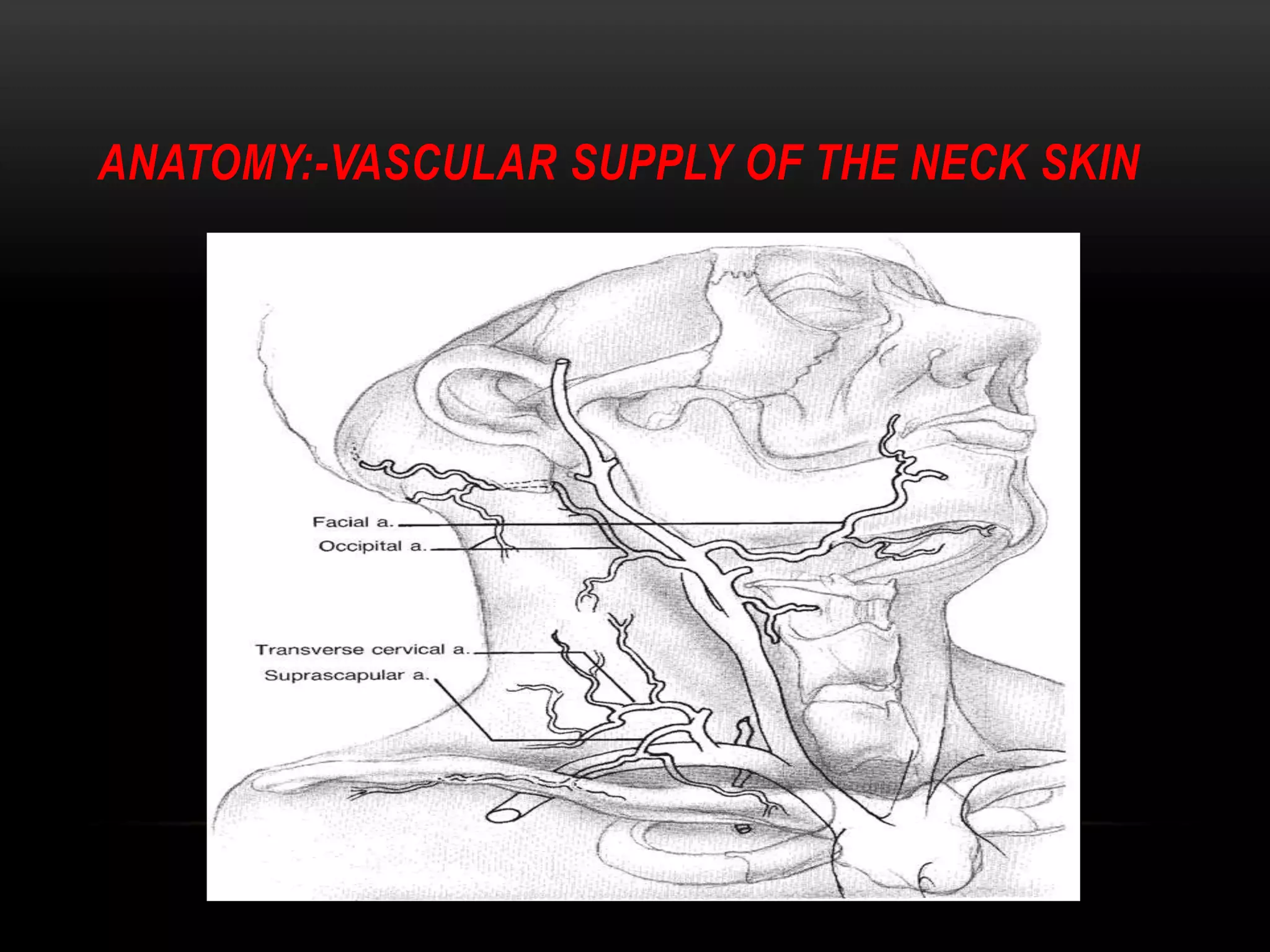 Types of neck dissection | PPTX | Ear, Nose and Throat Conditions ...