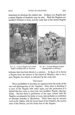 Types of negritos in the philippine islands by bean | PDF