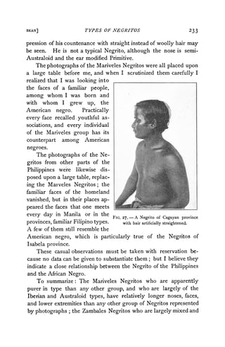 Types of negritos in the philippine islands by bean | PDF