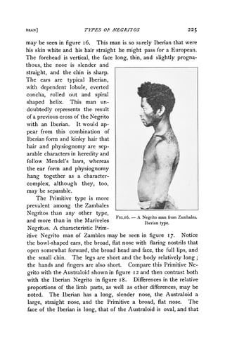 Types of negritos in the philippine islands by bean | PDF
