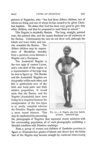 Types of negritos in the philippine islands by bean | PDF