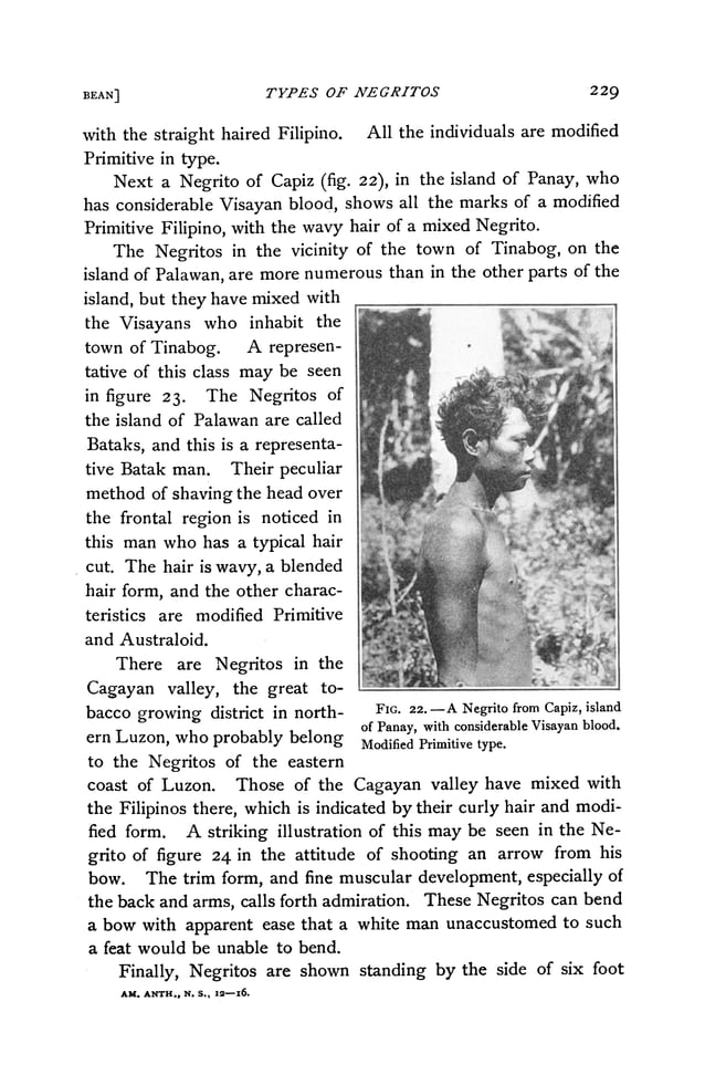 Types of negritos in the philippine islands by bean