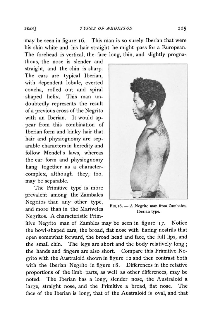 Types of negritos in the philippine islands by bean