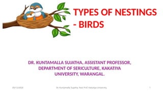 Types of nesting's - different types of nests.pptx