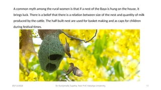 Types of nesting's - different types of nests.pptx