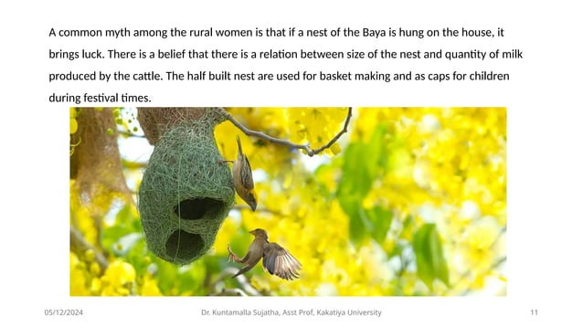 Types of nesting's - different types of nests.pptx