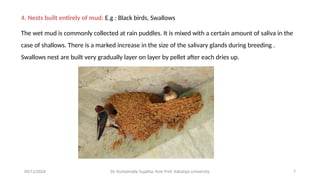 Types of nesting's - different types of nests.pptx