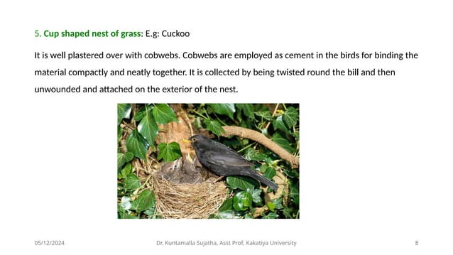 Types of nesting's - different types of nests.pptx