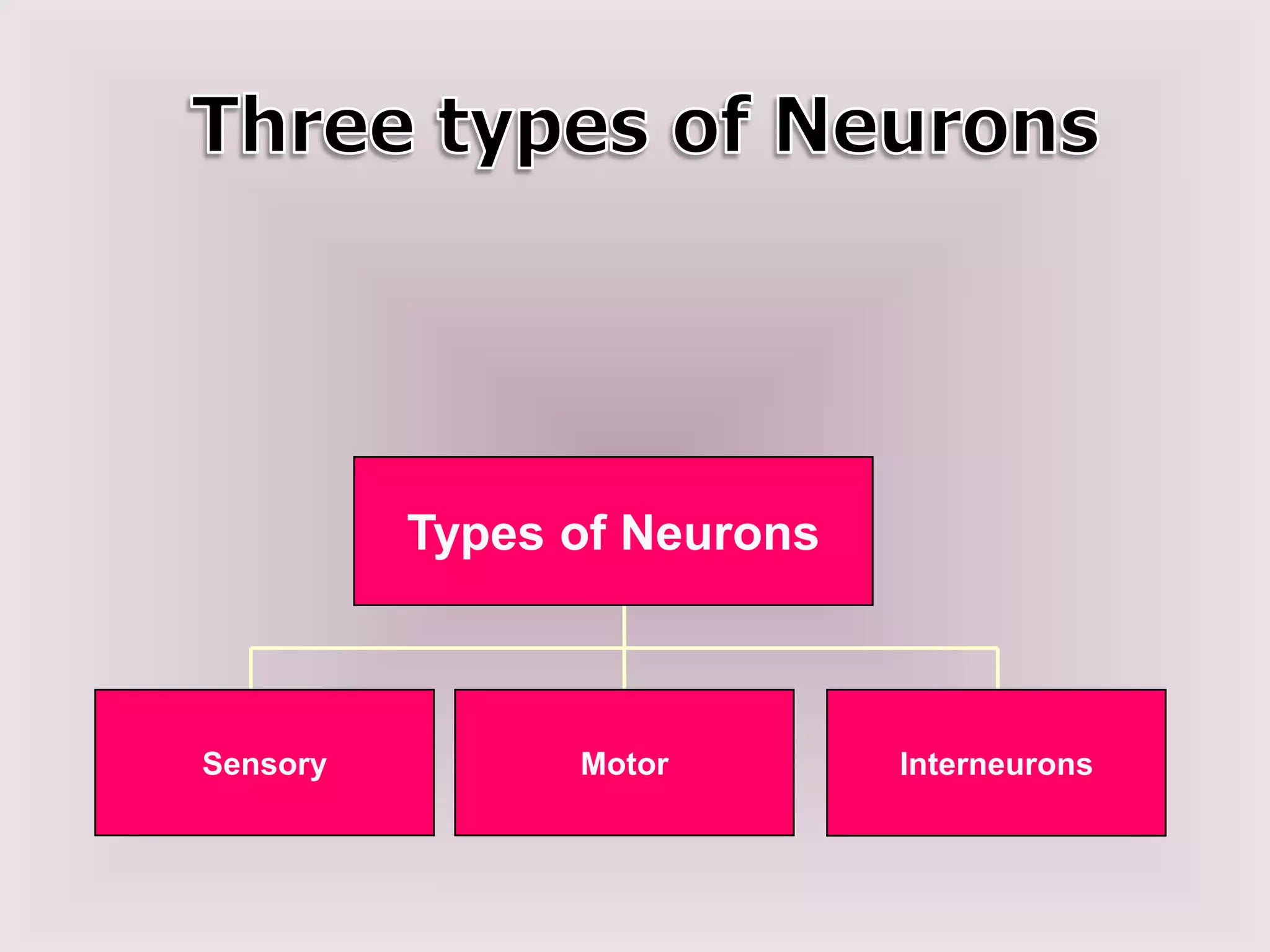 Types of neuron | PPTX