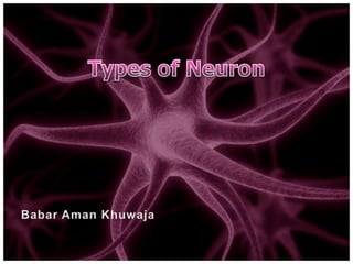 Types of neuron | PPTX