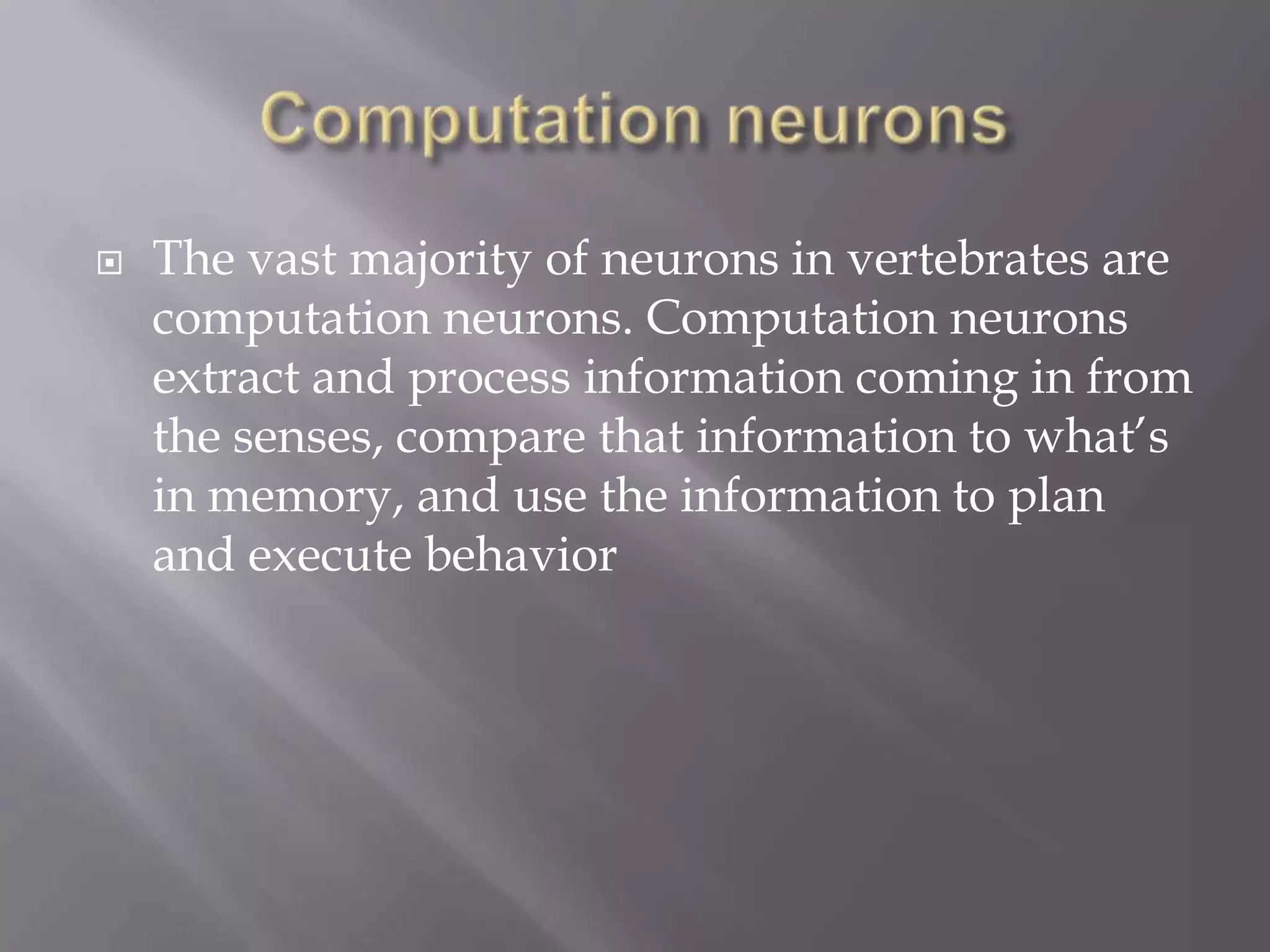 Types of neurons | PPTX