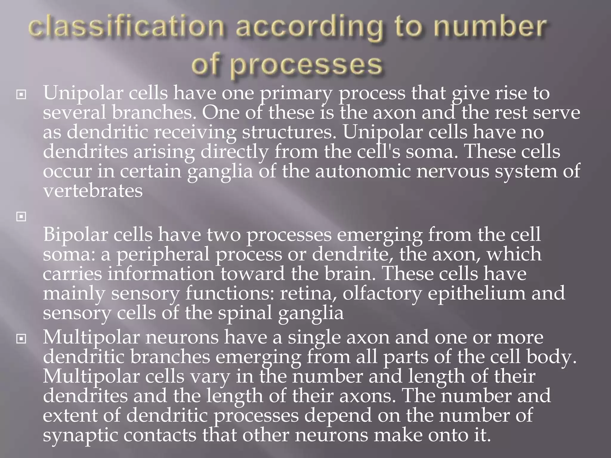 Types of neurons | PPTX