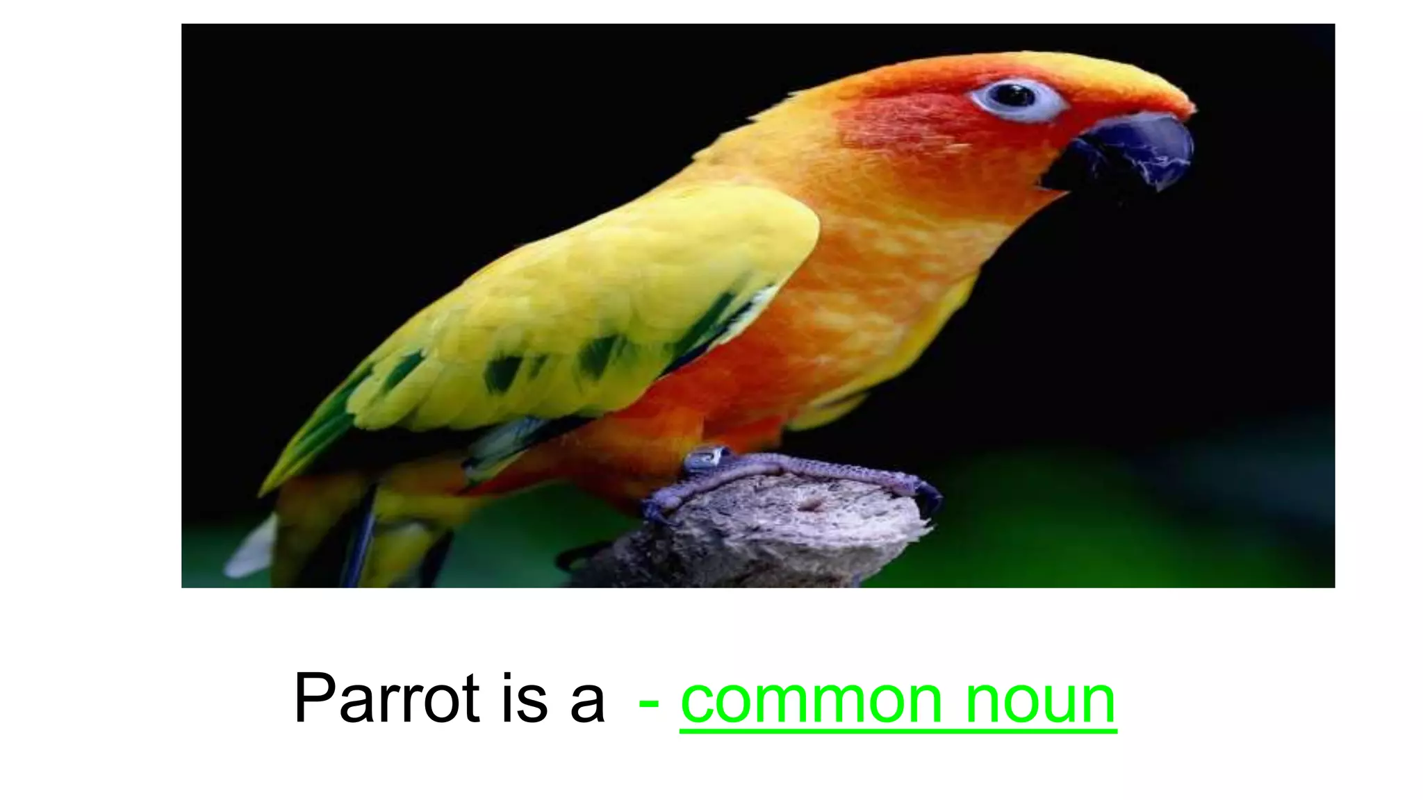 Types of nouns part 2 common and proper noun | PPTX