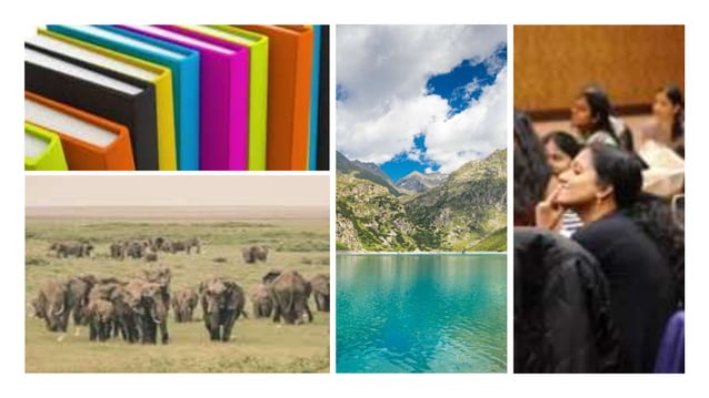 Types of nouns part 3 -Abstract, concrete and collective noun | PPTX