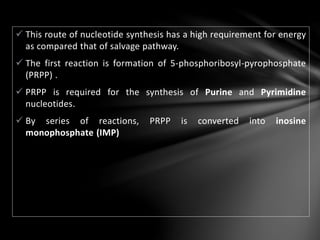 Types of nucliec acids, biosynthesis and catabolism | PPTX | Chemistry ...