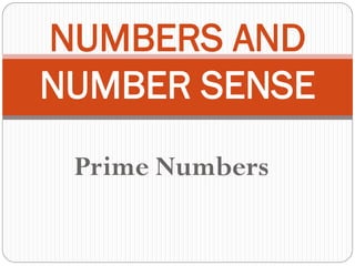 Mathematics for Grade 6: Prime Numbers | PDF