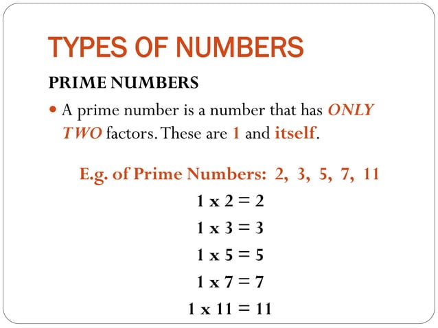 Mathematics for Grade 6: Prime Numbers | PDF