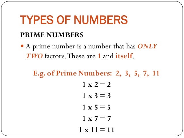Mathematics for Grade 6: Prime Numbers