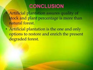 different Types of forest nursery | PPTX
