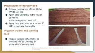 Types of nursery - Land, Bed preparations, etc,.pptx