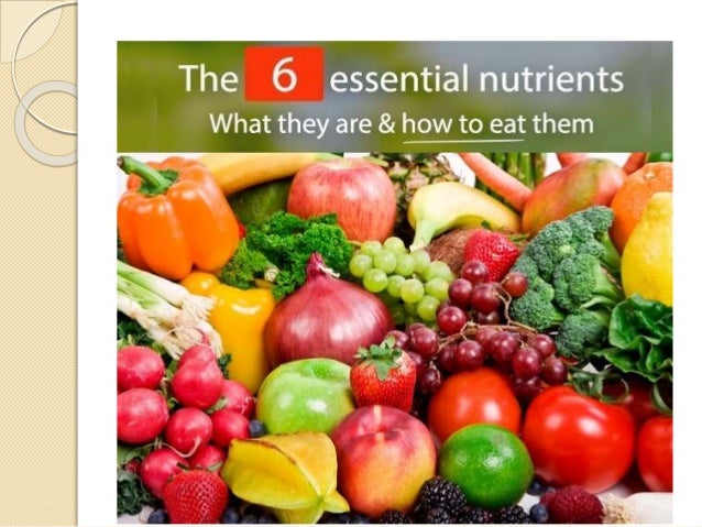 Types of Nutrients: Are You Sure you’re Eating Them All?