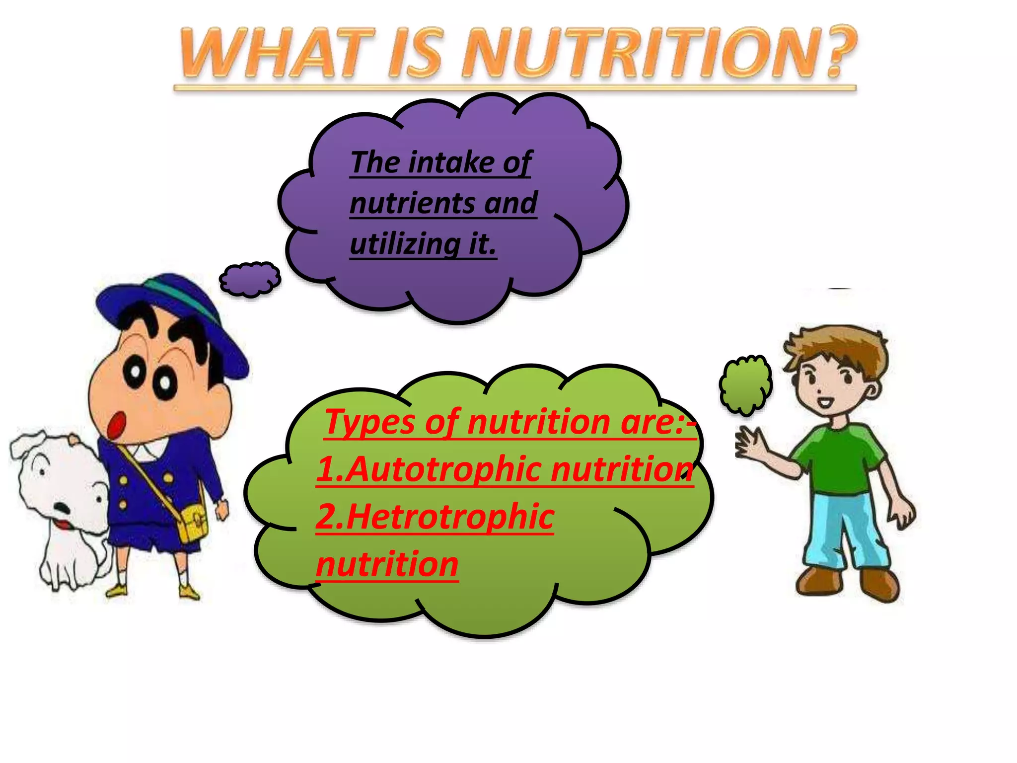 Types of nutrition and human digestion | PPTX